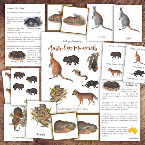 Australian Mammals Bundle | Little Spark Company