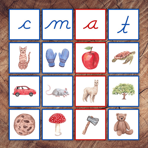 Beginning Letter Sounds Picture Sorting Card Set, Cursive Edition ...