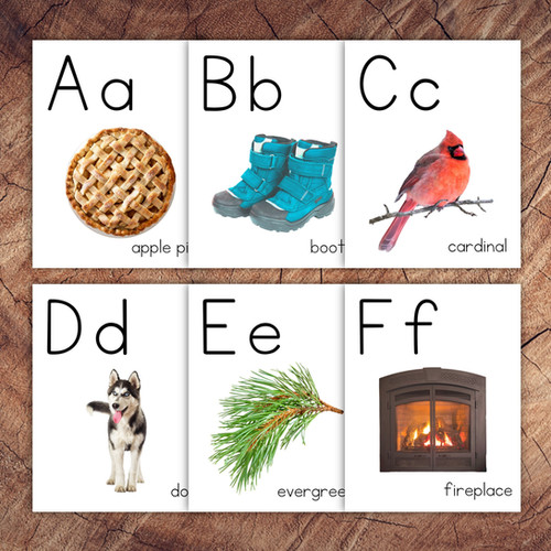 Winter Alphabet Poster Set, Real Images | Little Spark Company