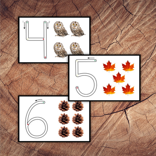 Autumn Number Primer Cards | Little Spark Company