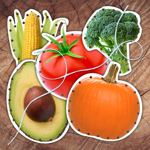 Vegetables Lacing Cards, Real Images | Little Spark Company