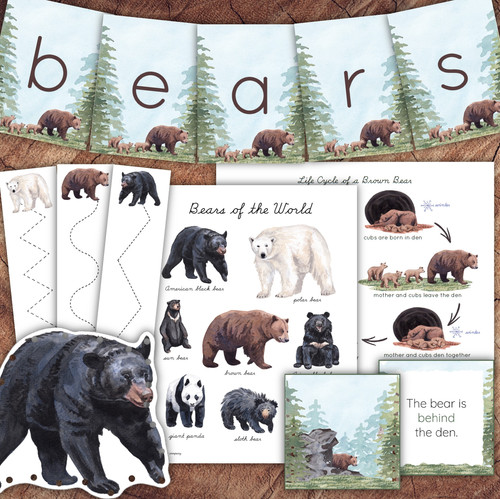 Beautiful Bears Bundle | Little Spark Company