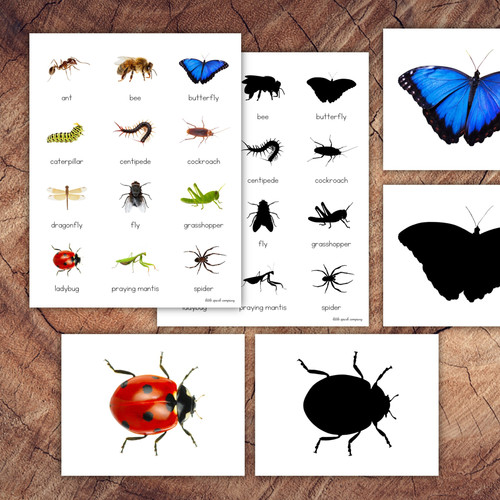 Insects Shadow Matching Cards | Little Spark Company