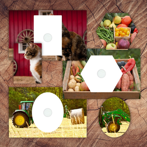 Farm Shapes Puzzles | Little Spark Company