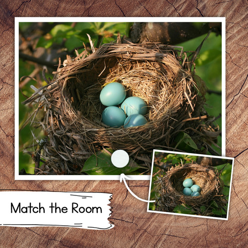 Match the Room Nn is for Nest | Little Spark Company