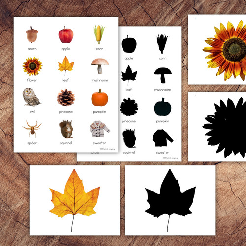 Autumn Shadow Matching | Little Spark Company