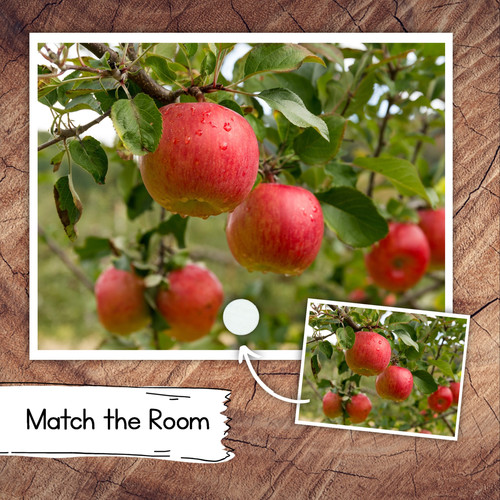 Match the Room Aa is for Apples | Little Spark Company