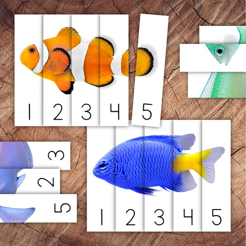 Fish Number Puzzles (1-5) | Little Spark Company