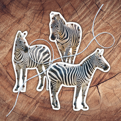 Letter Zz Lacing Cards | Little Spark Company