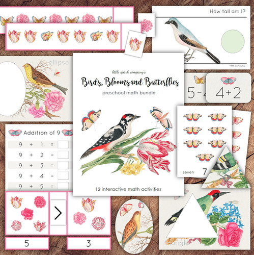 Birds, Blooms & Butterflies Math Bundle | Little Spark Company