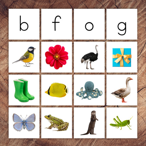 Beginning Letter Sound Sorting Set, Real Images | Little Spark Company