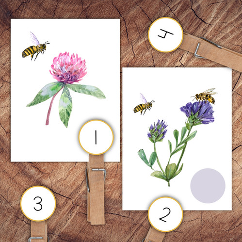 Honey Bee Counting Clip Cards (1-10) | Little Spark Company