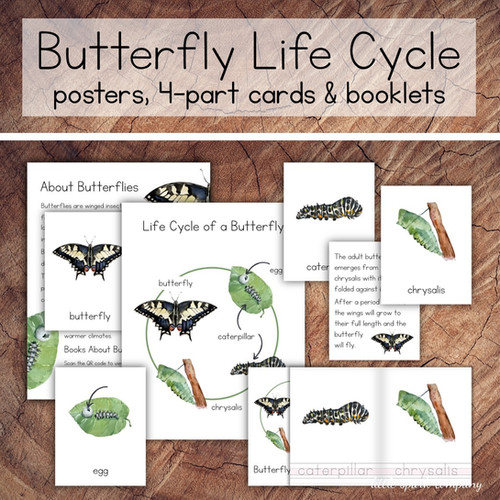 Butterfly Life Cycle Pack | Little Spark Company
