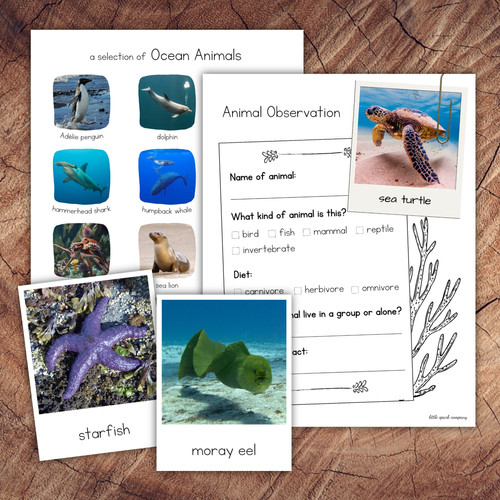 Ocean Animals Pack | Little Spark Company