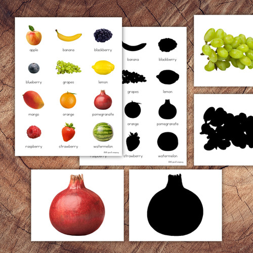 Fruits Shadow Matching Cards | Little Spark Company