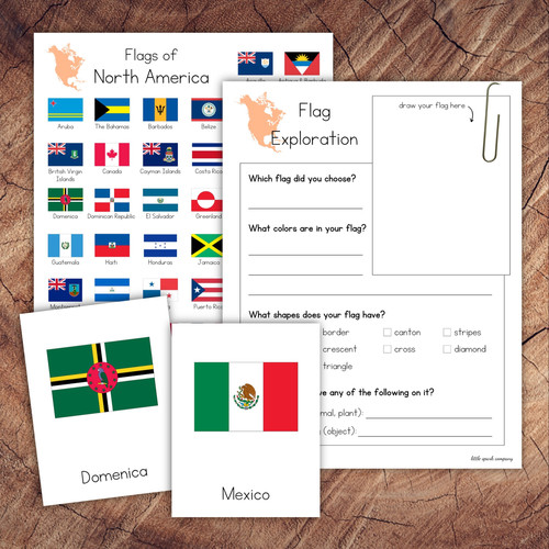 North American Flags Pack | Little Spark Company