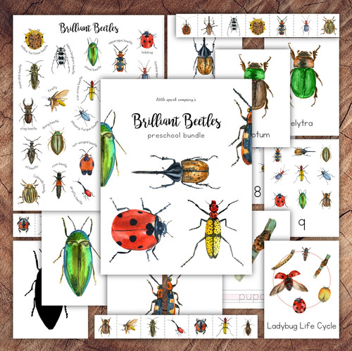 Brilliant Beetles Bundle | Little Spark Company