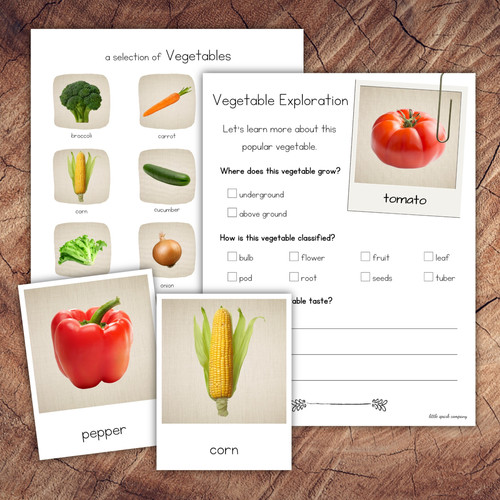 Vegetables Pack | Little Spark Company