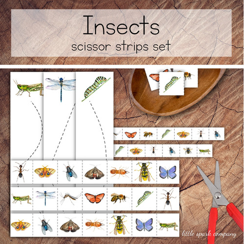 Insects Scissor Strips Set | Little Spark Company