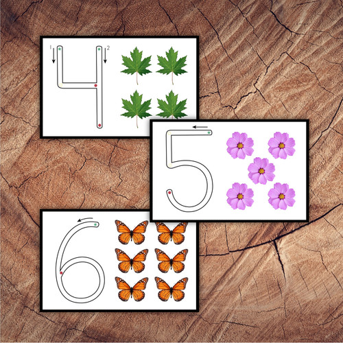 Summer Number Primer Cards | Little Spark Company