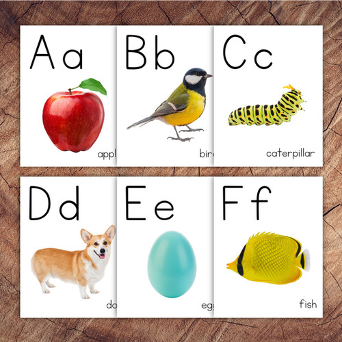 Alphabet Poster Set, Real Images | Little Spark Company