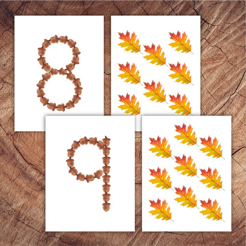 Acorn& Oak Count and Sort | Little Spark Company