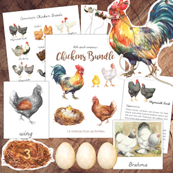 Farm Animals | Little Spark Company