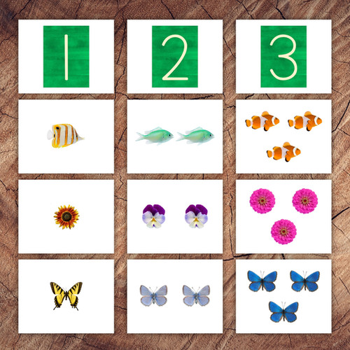 Summer Count & Sort (1-5) | Little Spark Company