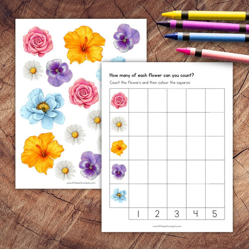 Summer Flowers Count and Graph | Little Spark Company