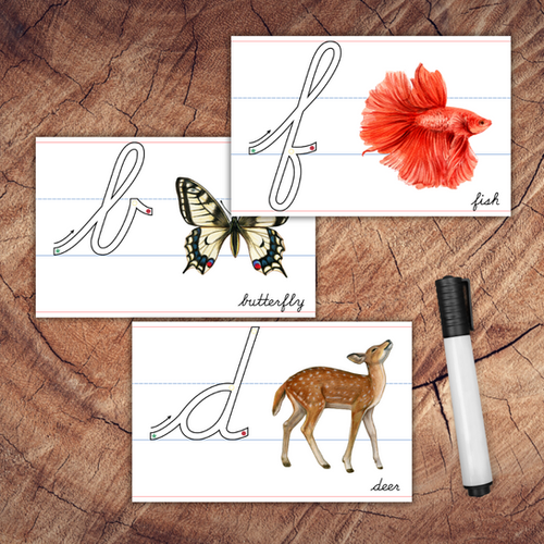 Cursive Primer Cards, Lowercase Edition - Lined | Little Spark Company