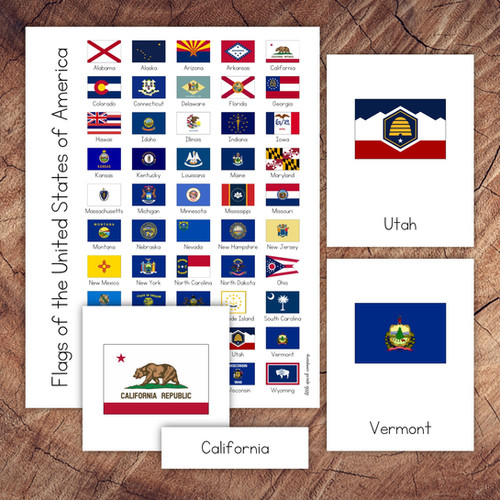 US State Flags Poster & 3-Part Card Set | Little Spark Company