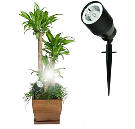 LED Plant Spotlight | Jetty’s