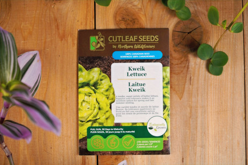 Cutleaf Seeds — Lettuce | Jetty’s