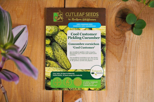 Cutleaf Seeds — Cucumbers | Jetty’s