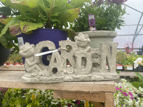 Garden Frogs | Jetty’s