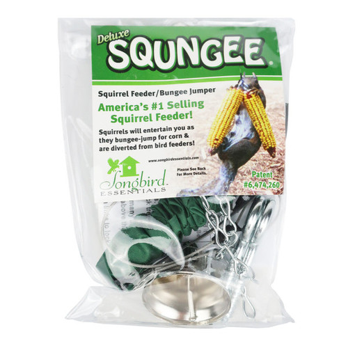 Squngee Squirrel Feeder | Jetty’s