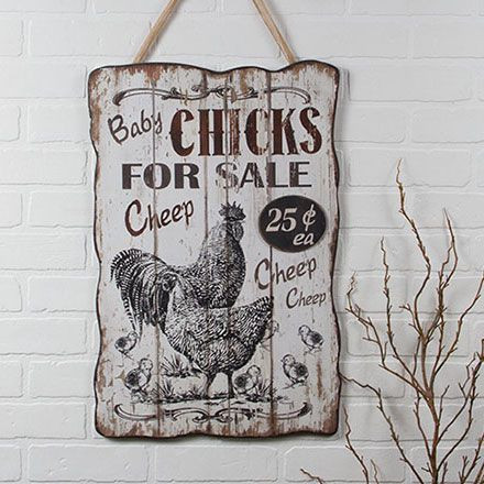Baby Chicks Sign | Jetty’s
