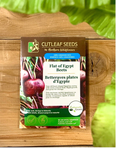 Cutleaf Seeds — Beets | Jetty’s