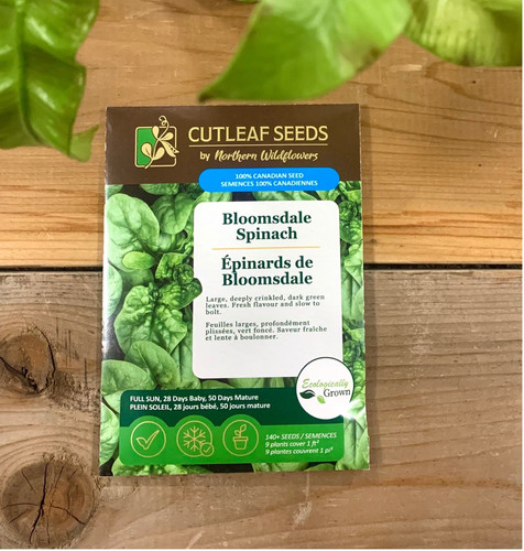 Cutleaf Seeds — Spinach | Jetty’s
