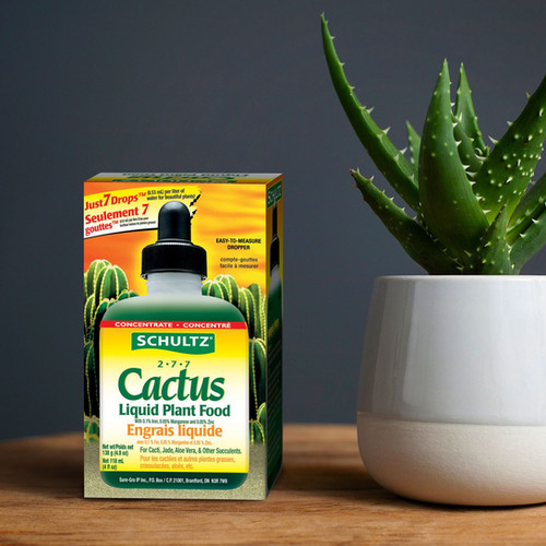 Schultz Liquid Cactus Plant Food | Jetty’s