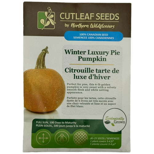 Cutleaf Seeds — Pumpkins | Jetty’s