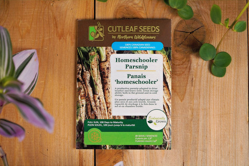 Cutleaf Seeds — Parsnip | Jetty’s