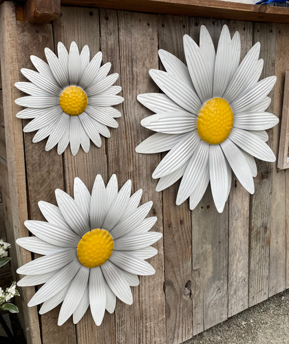 Set of 3 Daisies | Jetty’s