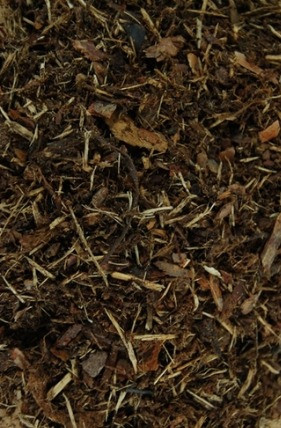 Shredded Pine Mulch | Jetty’s