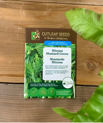 Cutleaf Seeds — Mustard Greens | Jetty’s