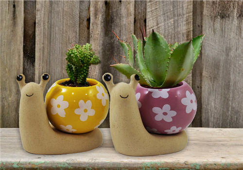 Snail with Flower Shell Pots | Jetty’s
