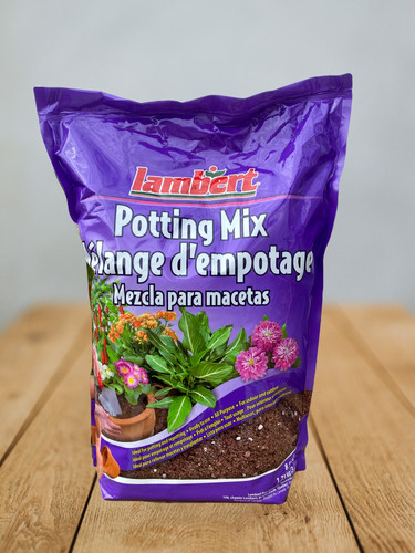 Lambert® Potting Mix | Jetty’s