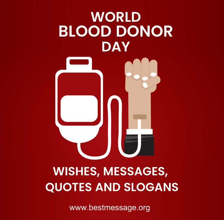 Best Blood Donation Messages, Wishes and Quotes