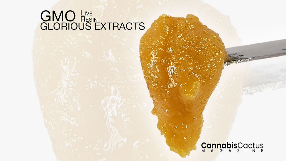 GMO Live Resin by Glorious Extracts GMO Live Resin by Glorious Extracts