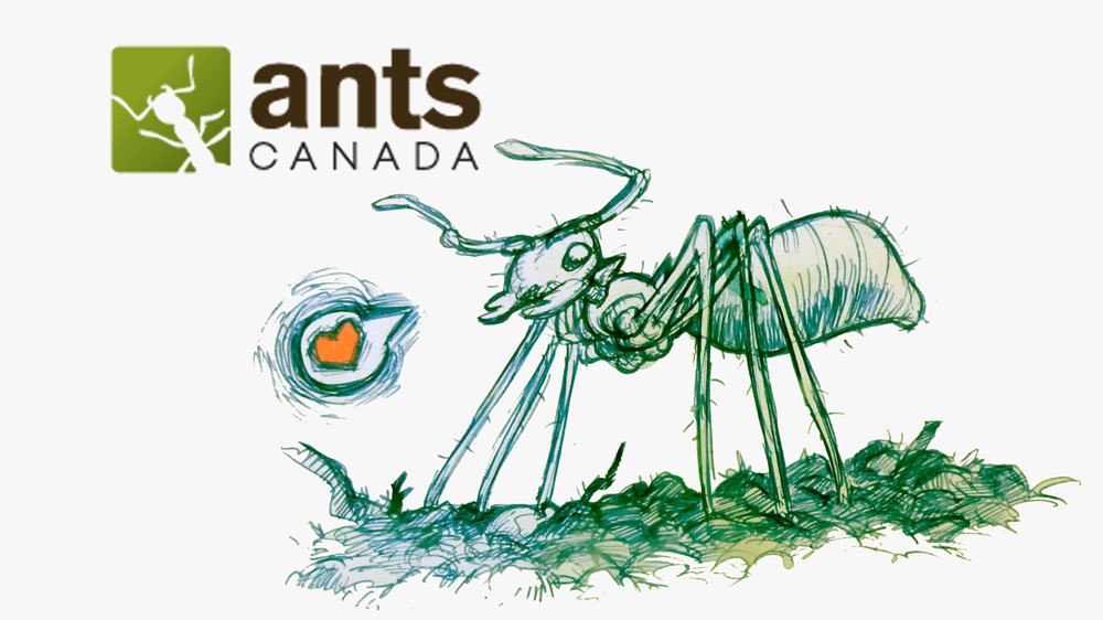 Approved – AntsCanada